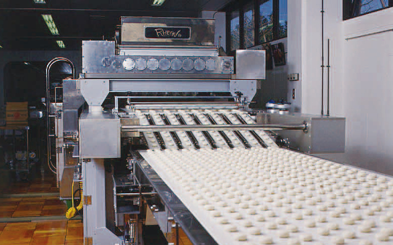 History of Rheon – Rheon Europe